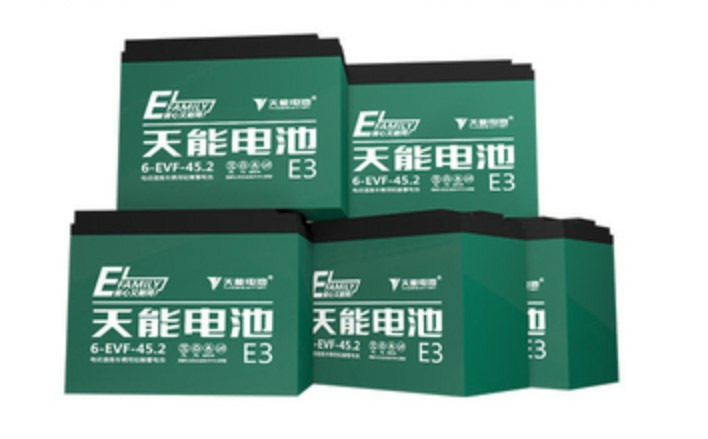6-EVF-45.2 Portable heavy duty battery, Everything Else on Carousell
