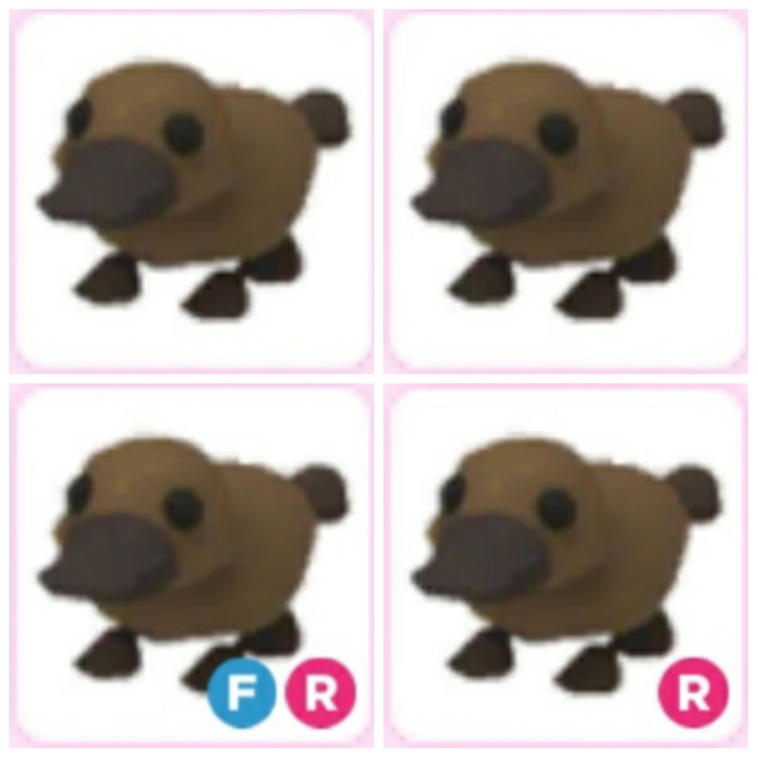 Platypus Adopt me pet Roblox, Video Gaming, Gaming Accessories, Game ...