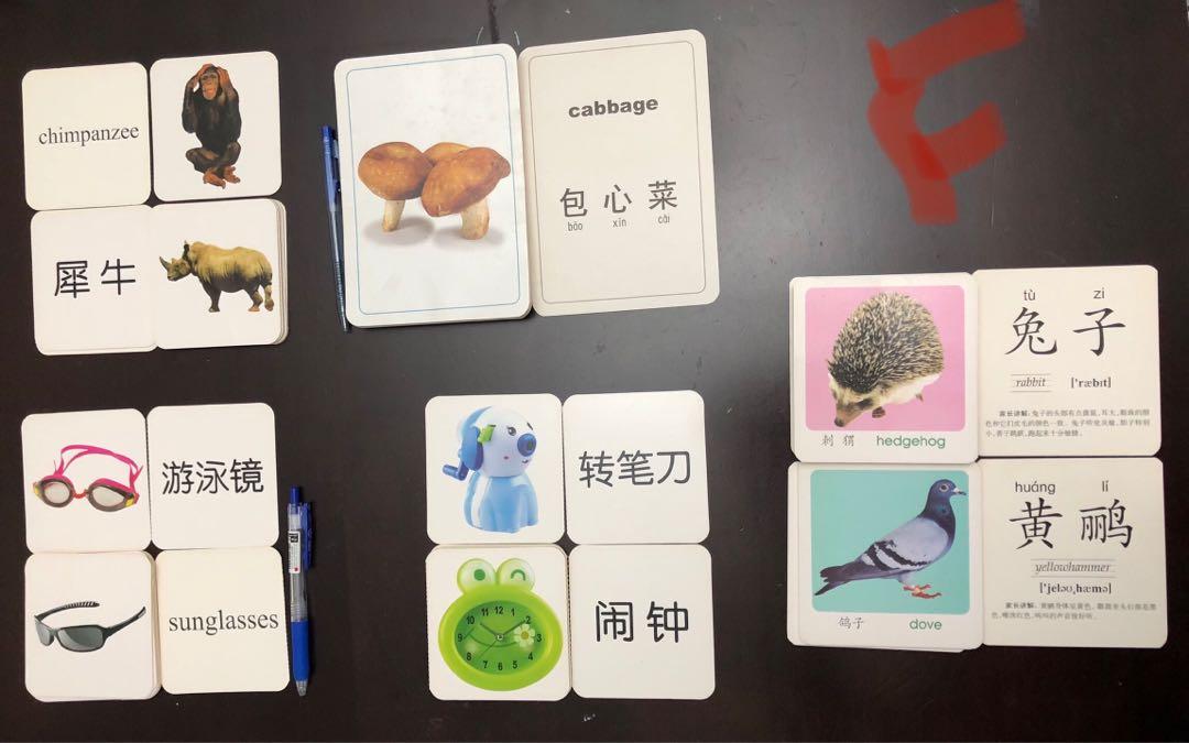 Smart Brain Asst Flashcards & Learning Cards,Brain Quest (brain ...