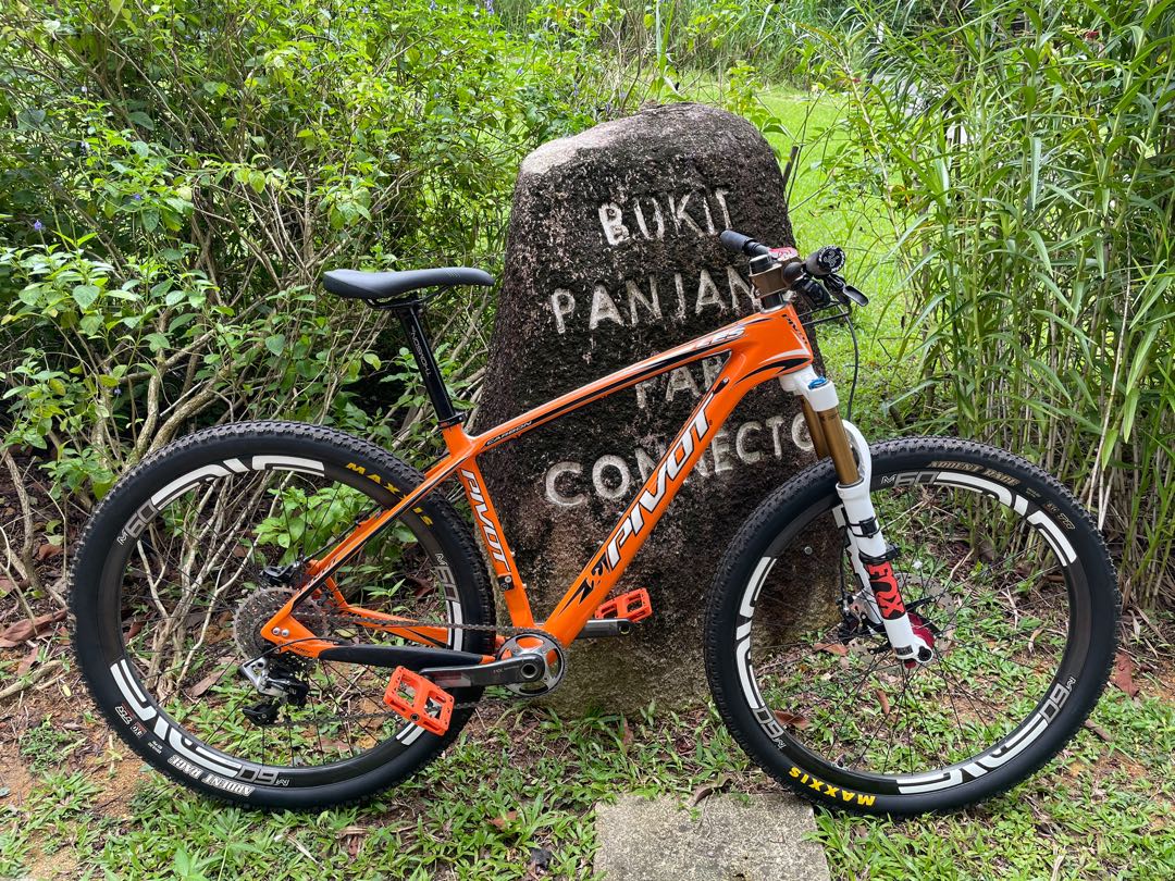 Pivot LES 29 Carbon Mountain Bike, Sports Equipment, Bicycles & Parts ...