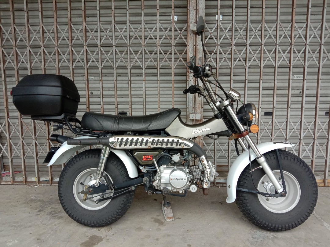 Skyteam T-Rex 125, Motorbikes on Carousell