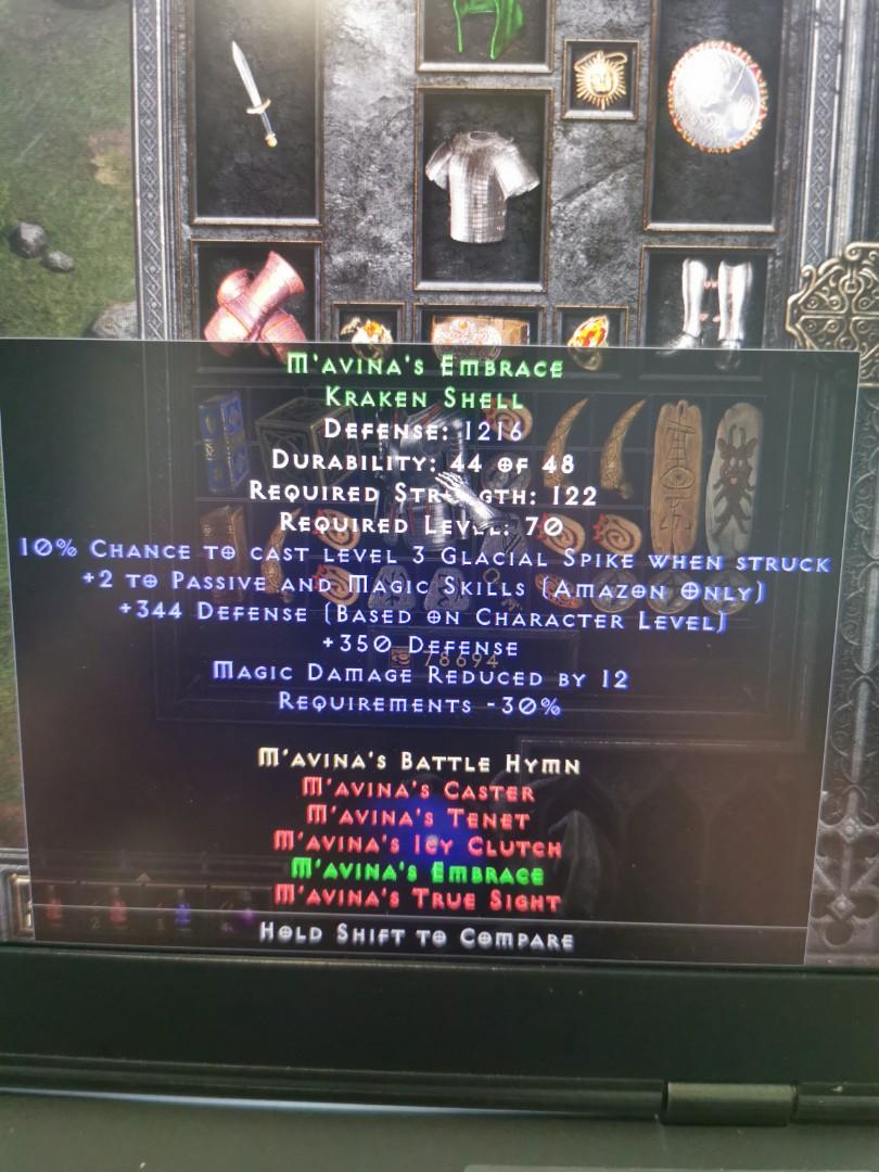 Amazon armor diablo 2 resurrected d2r, Video Gaming, Gaming Accessories ...