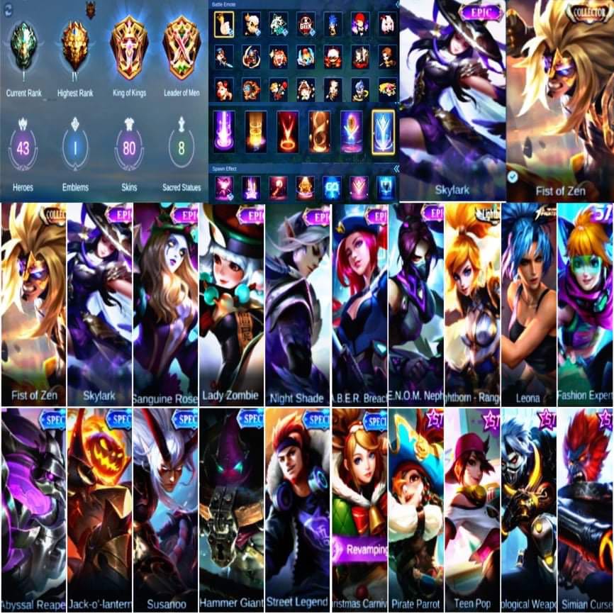 Collector Badang x Skylark Fanny Mobile Legends Account, Video Gaming ...