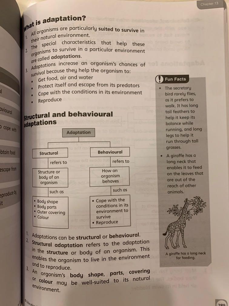 Comprehension Science Guide for Upper block P5&P6, Hobbies & Toys ...