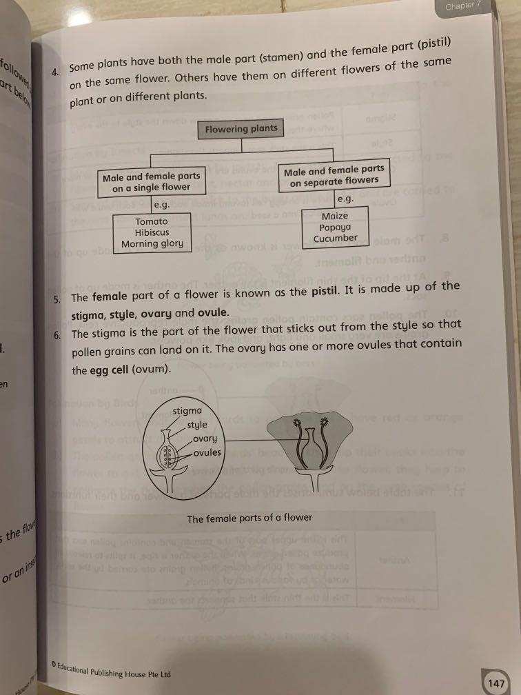 Comprehension Science Guide for Upper block P5&P6, Hobbies & Toys ...