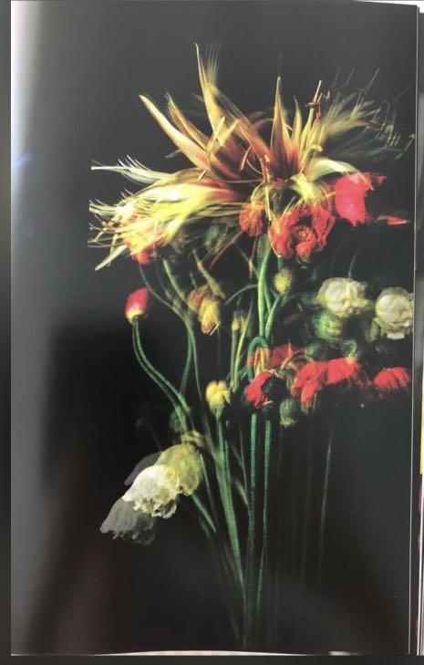 Flower Art by Makoto Azuma, Hobbies & Toys, Stationery & Craft, Art ...