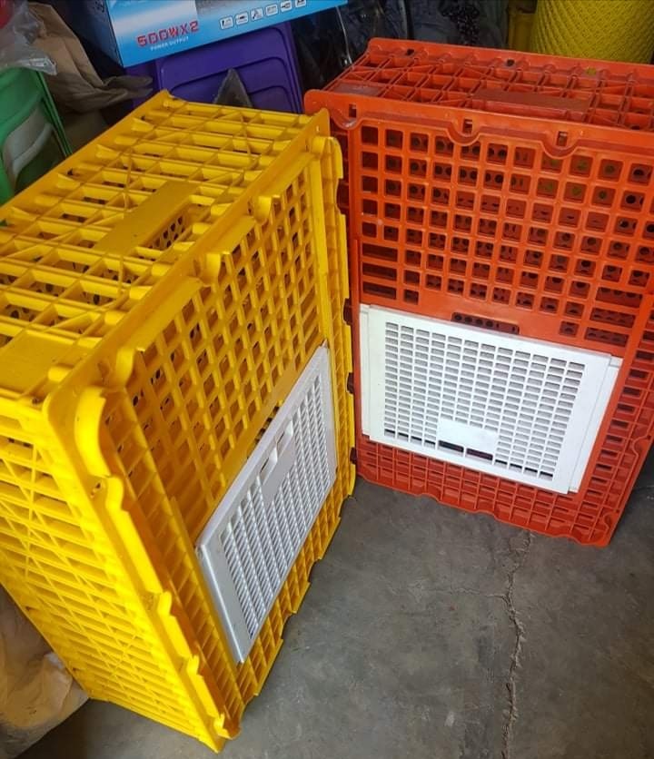 Live chicken crates (coop), Pet Supplies, Homes & Other Pet Accessories ...