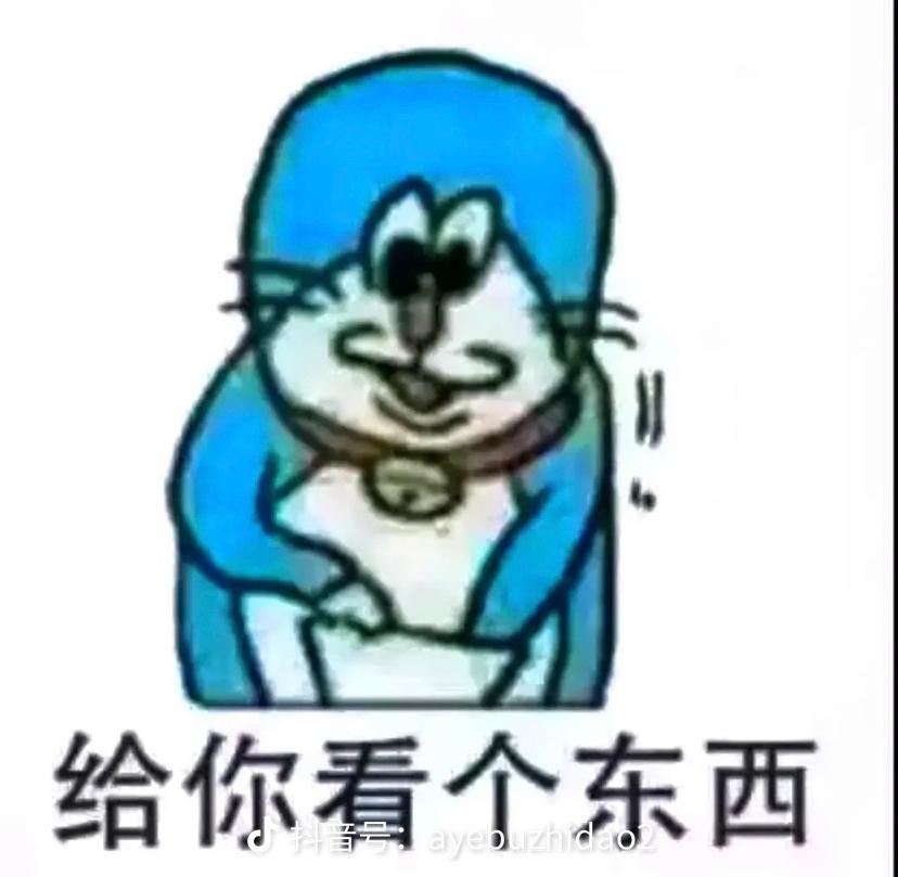 Meme package, Everything Else on Carousell