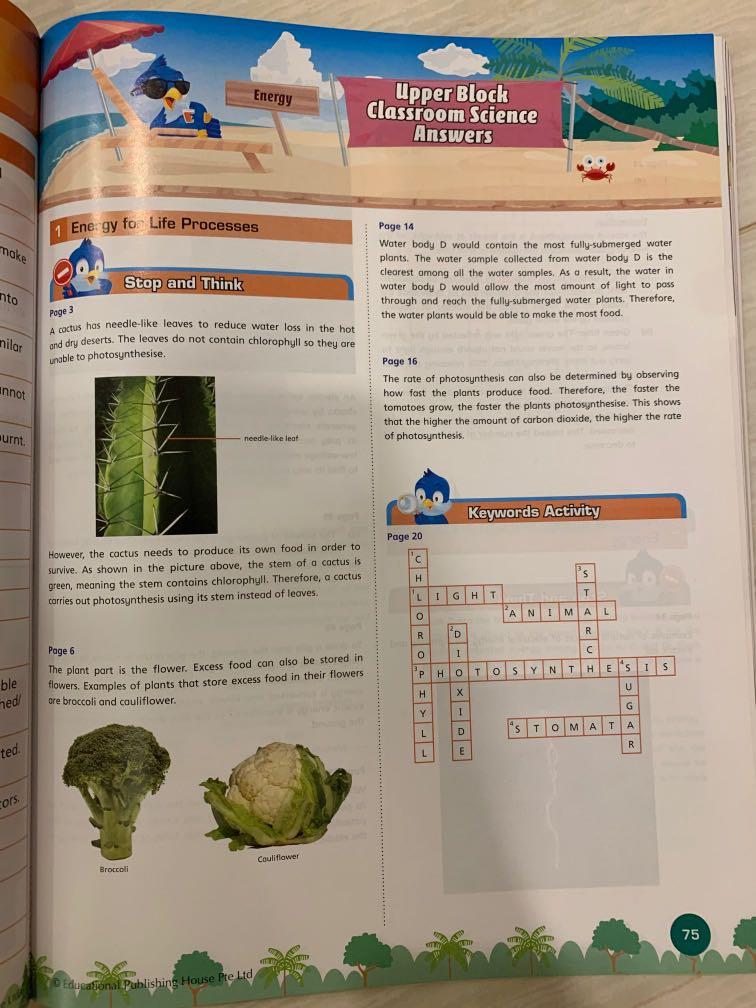 More than a textbook classroom science (upper block), Hobbies & Toys ...