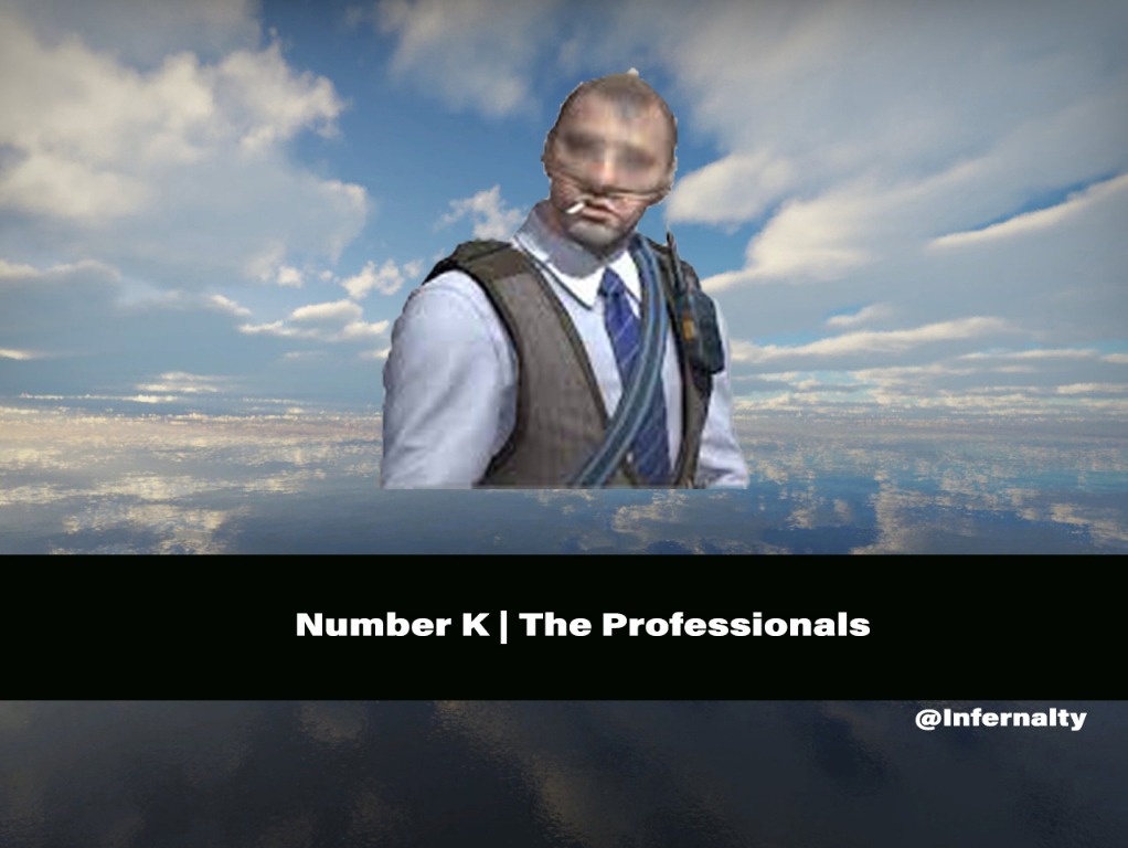 Number K The Professionals CSGO SKINS KNIVES AGENTS, Video Gaming ...