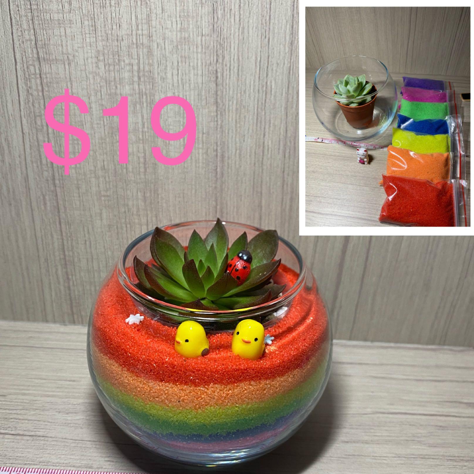 DIY Terrarium Kit (Rainbow Colours), Hobbies & Toys, Stationery & Craft ...