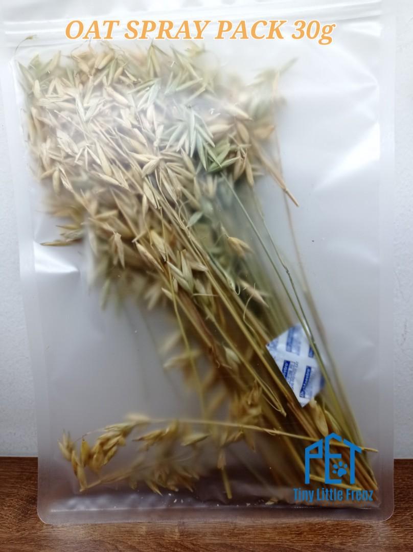 Yellow Millet Spray / Silver Millet Spray / Flax Spray / Oat Spray ...