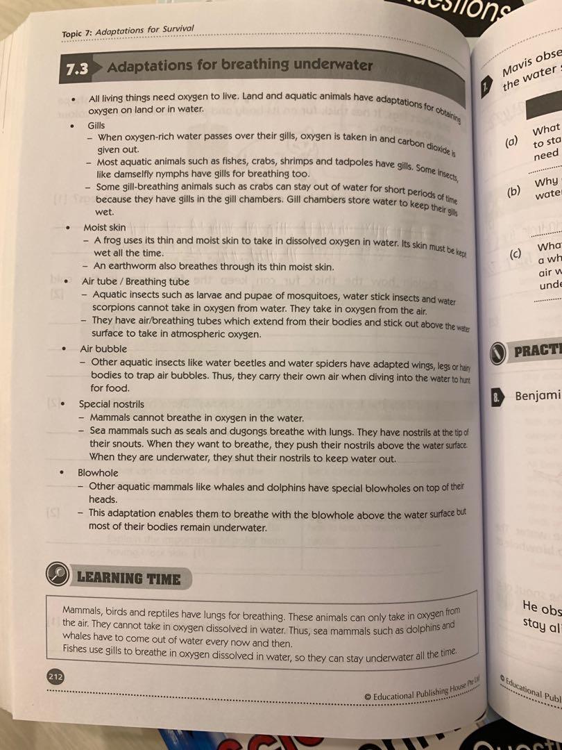 3 for $30 Science experiment centered Questions (Primary 3,4,5 and 6 ...