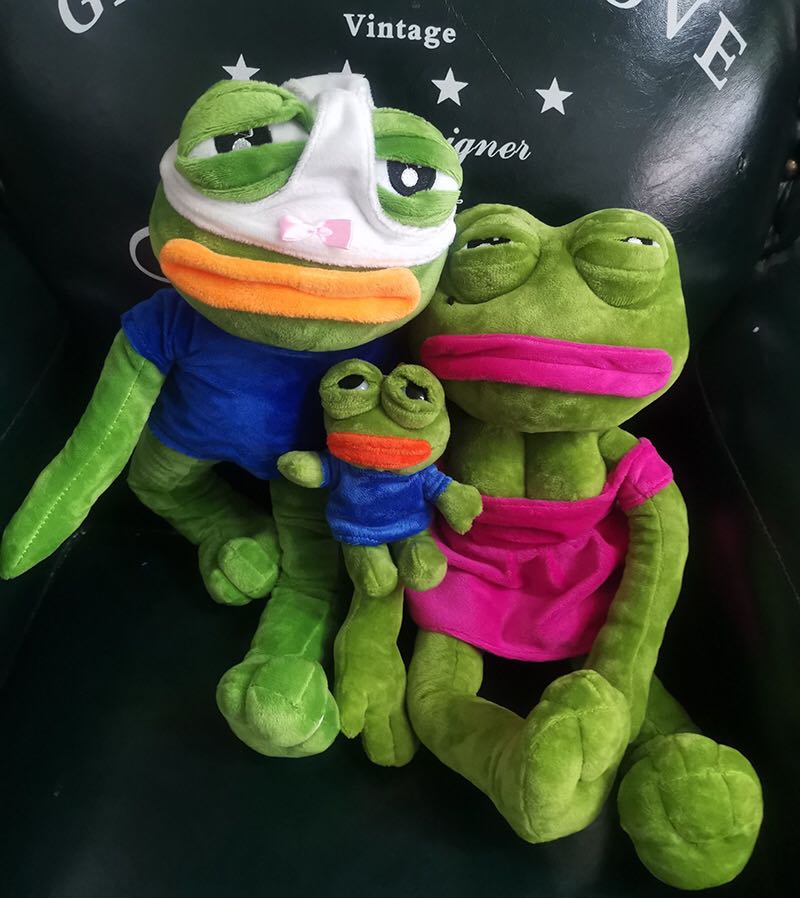 Pepe frog X Girlfriend plushie preorder, Hobbies & Toys, Toys & Games ...