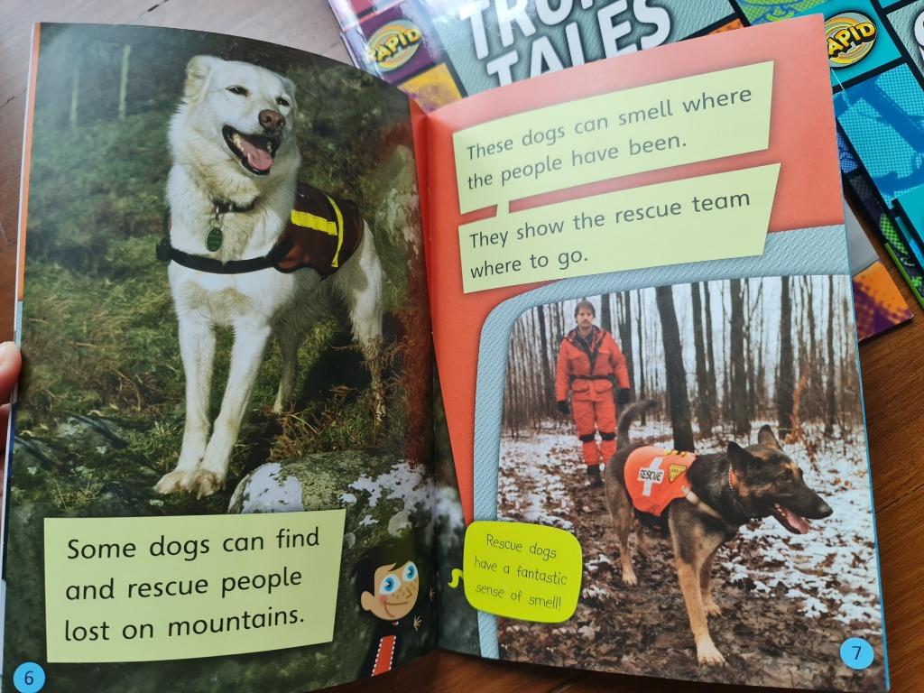 Rapid Readers - 27 book collection (Stages 1 to 3), Hobbies & Toys ...