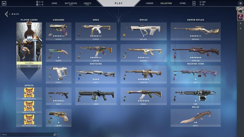 Rare Stacked Valorant Account With Prime 1.0 and Sovereign Bundle ...