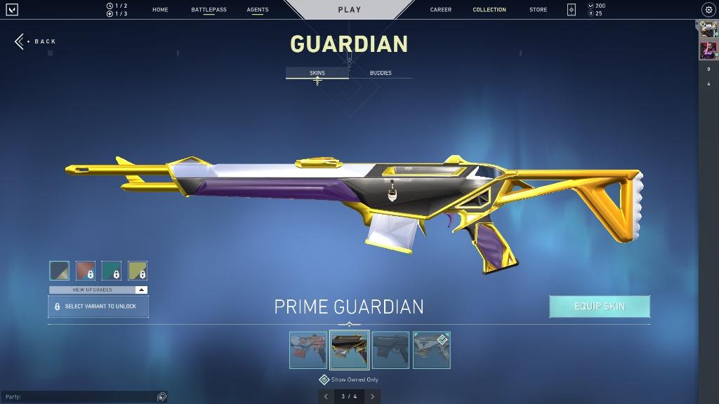 Rare Stacked Valorant Account With Prime 1.0 and Sovereign Bundle ...