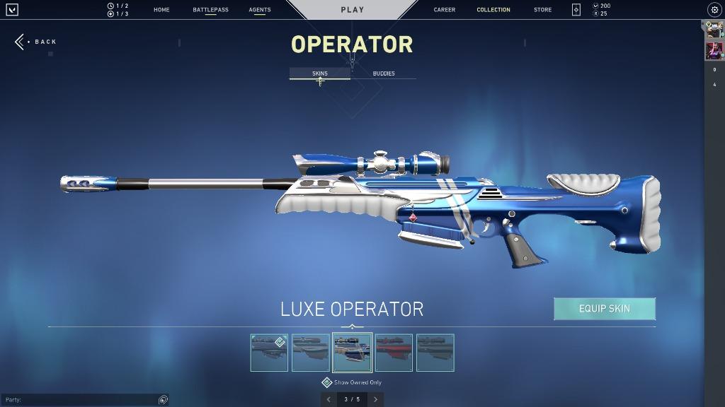 Rare Stacked Valorant Account With Prime 1.0 and Sovereign Bundle ...