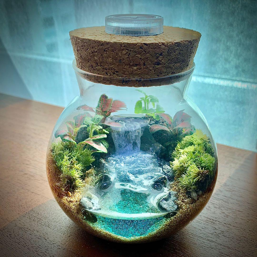 Waterfall Terrarium
