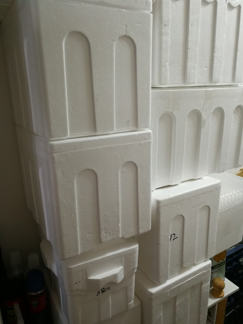 Styrofoam ice box / Polystyrene boxes / ice box, Everything Else, Others on Carousell