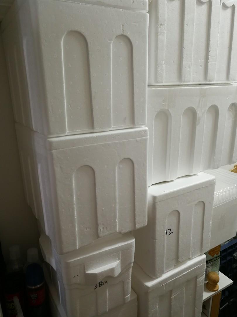 Styrofoam ice box / Polystyrene boxes / ice box, Everything Else, Others on Carousell