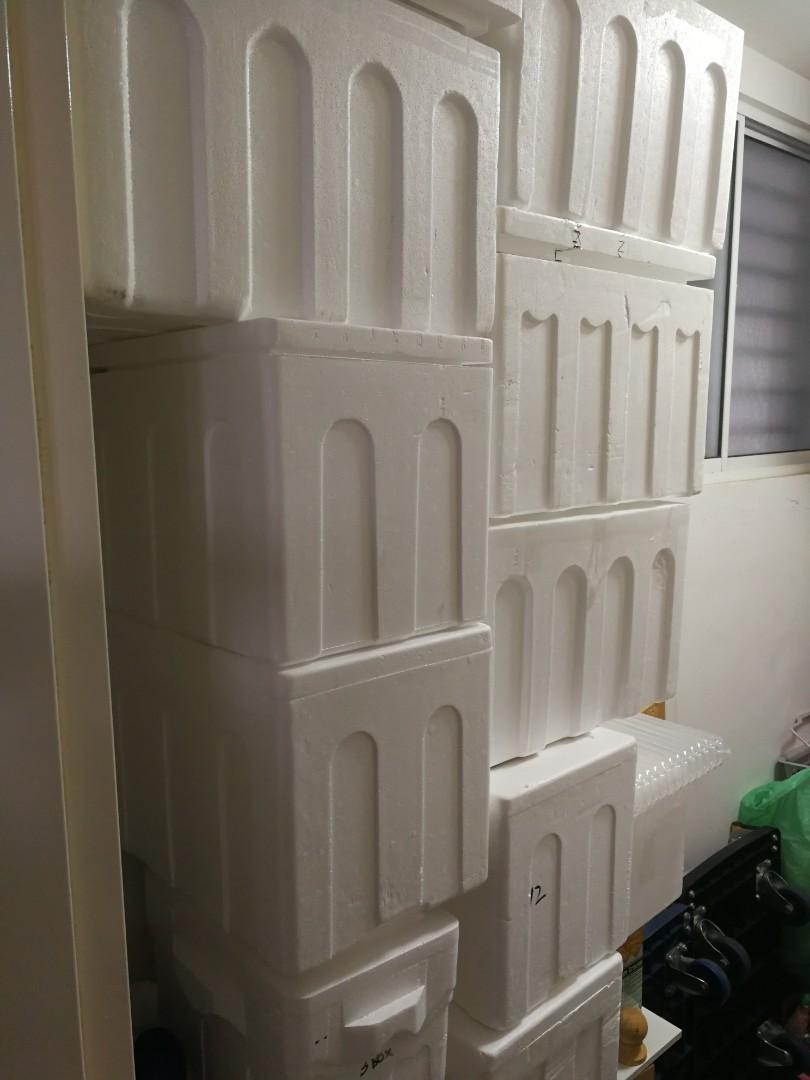 Styrofoam ice box / Polystyrene boxes / ice box, Everything Else ...
