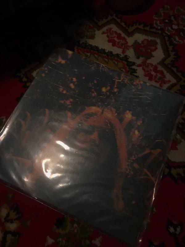 Vinyl turnover,album peripheral vision, Musik & Media, CD, DVD ...