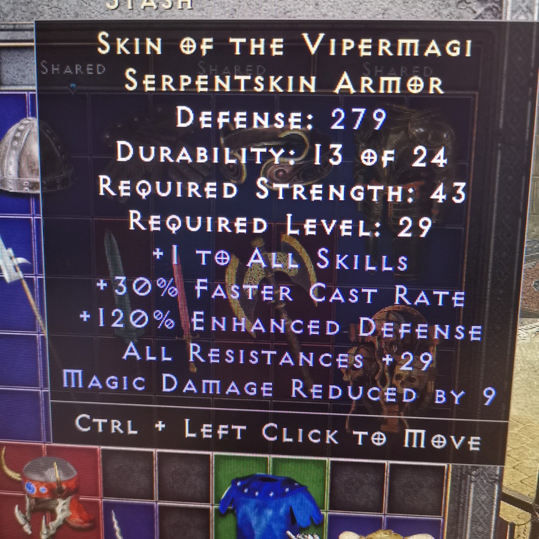 Diablo 2 d2r skin of the vipermagi, Video Gaming, Gaming Accessories ...