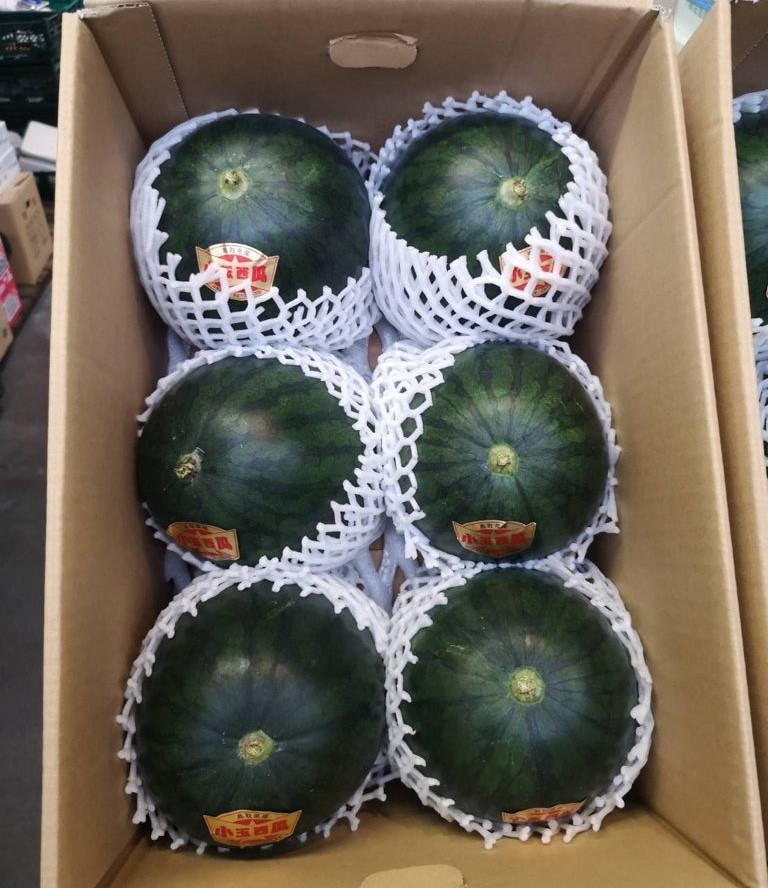 Japan Ibaraki WaterMelon, Food & Drinks, Other Food & Drinks on Carousell