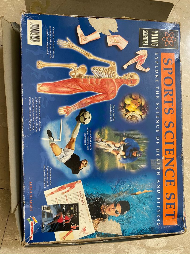 Lego , Medical Human body STEM , Hobbies & Toys, Toys & Games on Carousell