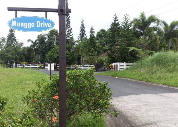 Leisure Farm Lemery Batangas, Property, For Sale, Lot on Carousell