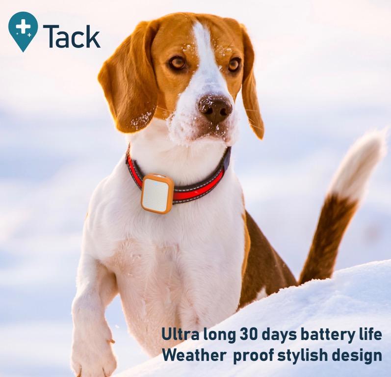 Tack GPS Location Tracker with Wondercase (Made in Singapore) - Pet ...