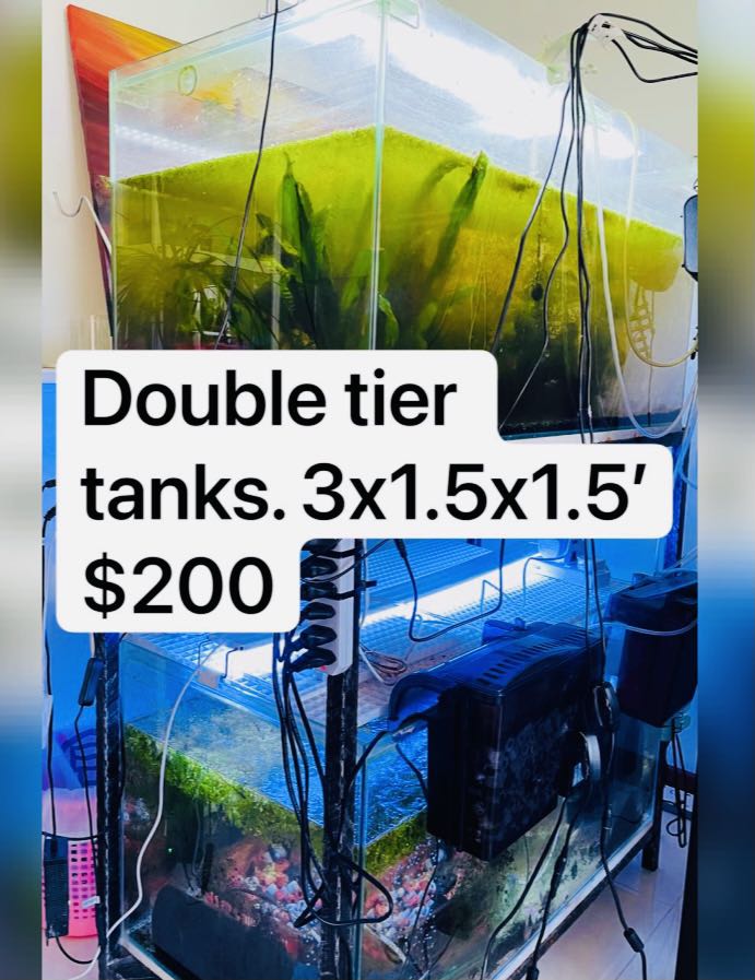3 feet fish tanks with accessories cheap, Pet Supplies, Homes & Other ...