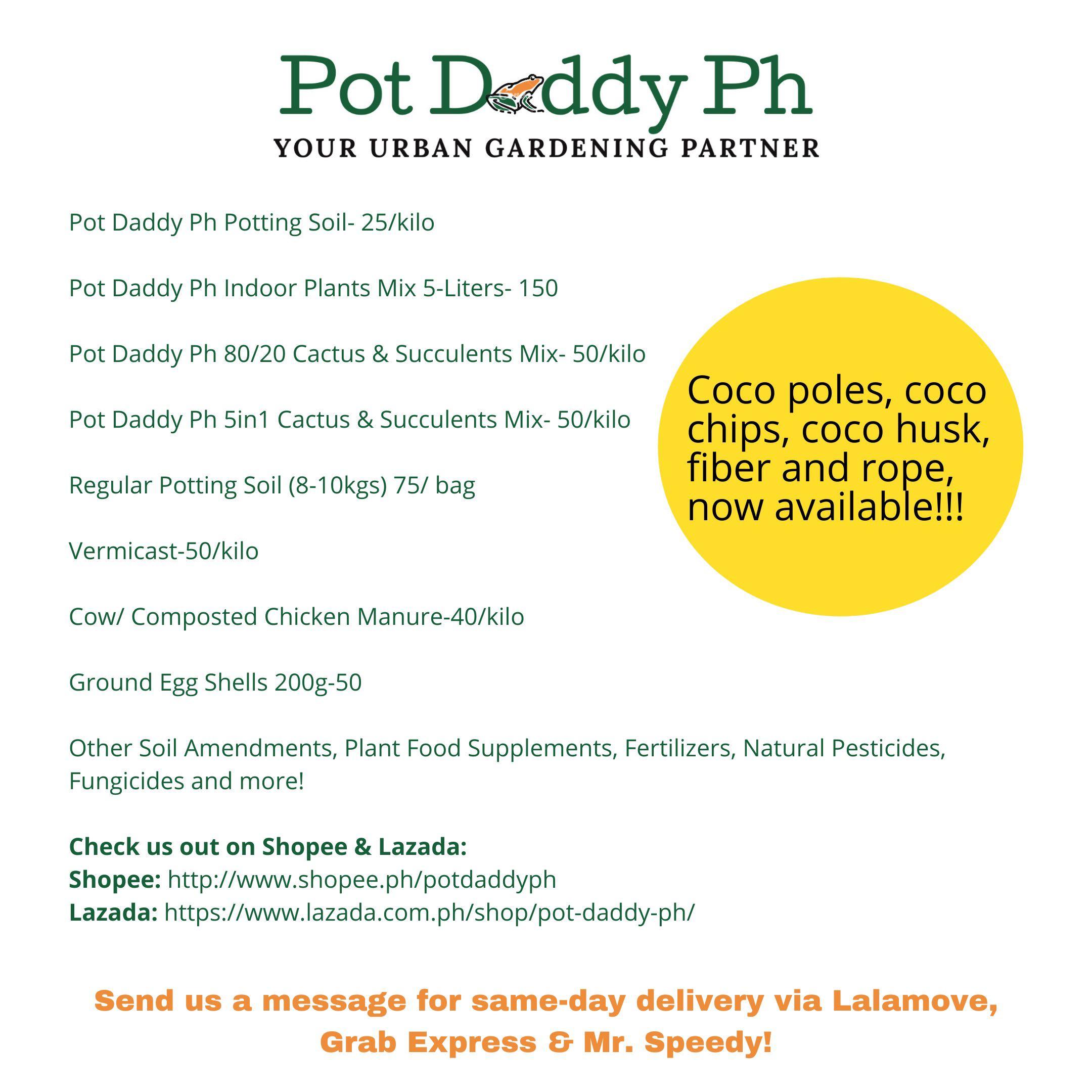 Pot Daddy Ph Osmocote 14-14-14 approx 100g, Furniture & Home Living ...