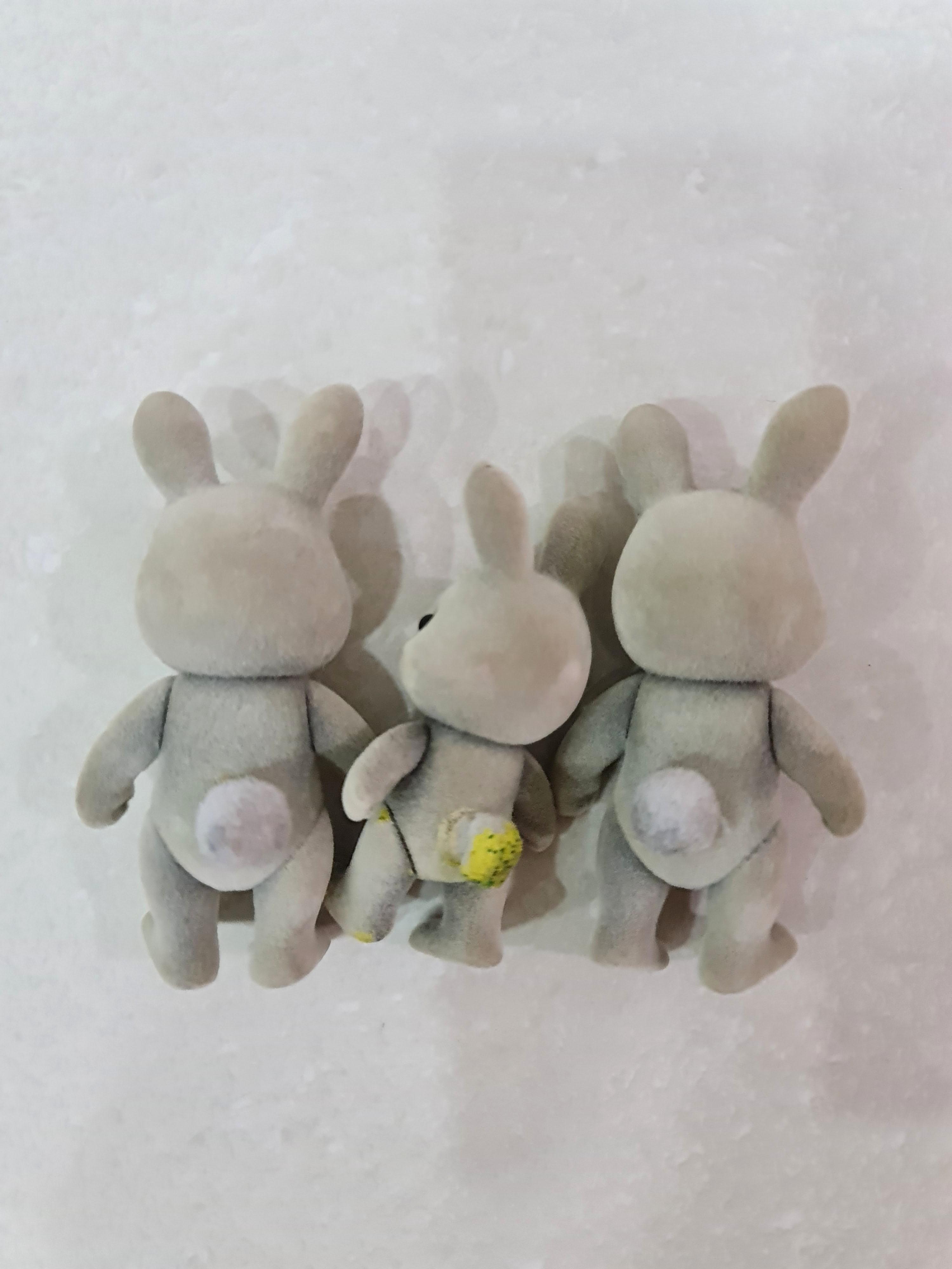 Sylvanian Families Grey Rabbit Family Figurines, Hobbies & Toys, Toys ...