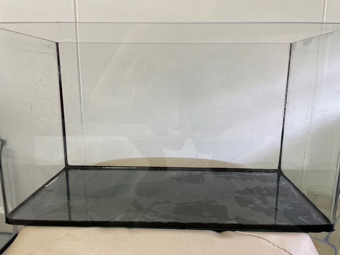 45cm/ 1.5ft Glass Fish Tank Curved with Cover, Pet Supplies, Homes ...