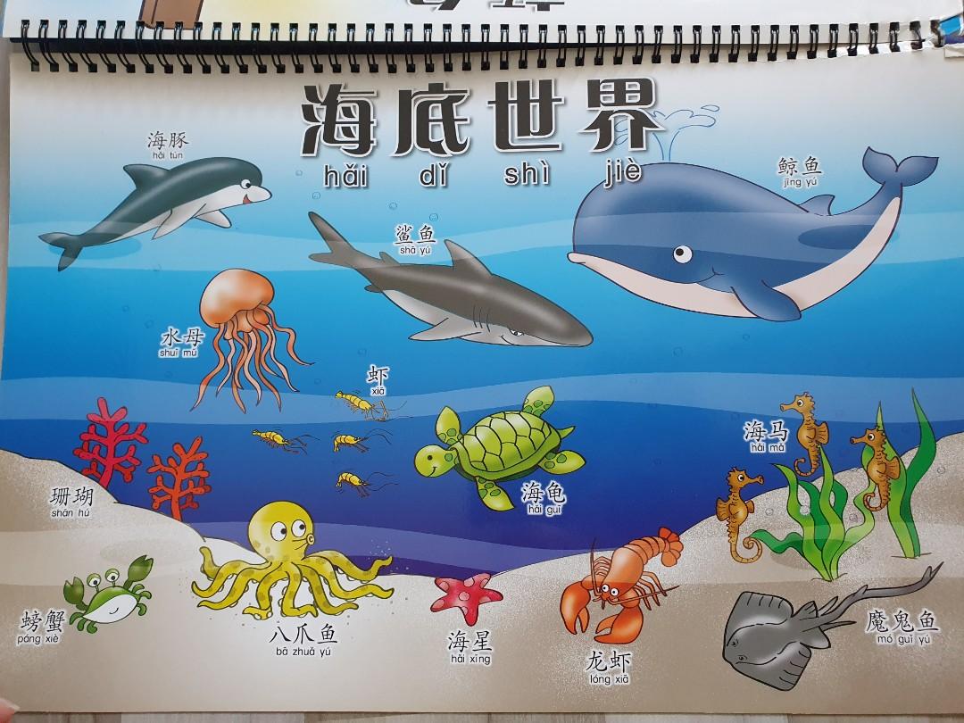Chinese Table Charts A3, Hobbies & Toys, Books & Magazines, Children's ...
