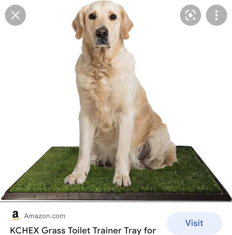 Big large dog Tray toilet trainer grass pee poop, Pet Supplies, Homes ...