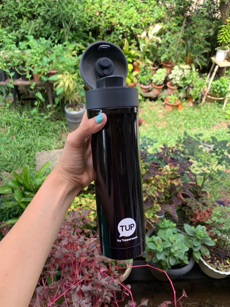 Tupperware Easy Open Flask 420mL, Food & Drinks, Other Food & Drinks on Carousell