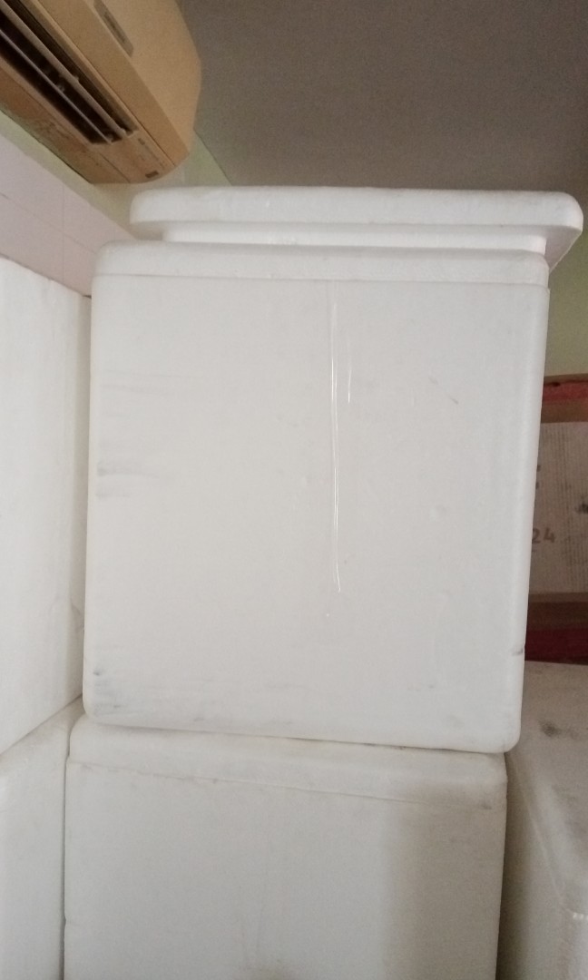 Used styrofoam box, Furniture & Home Living, Home Improvement ...