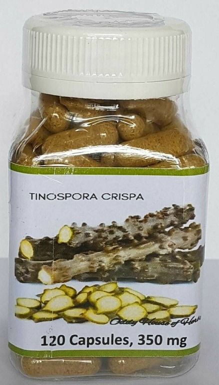 120 (350mg) CAPSULES, POWDER & DRIED PATAWALI / BROTOWALI (Tinospora ...