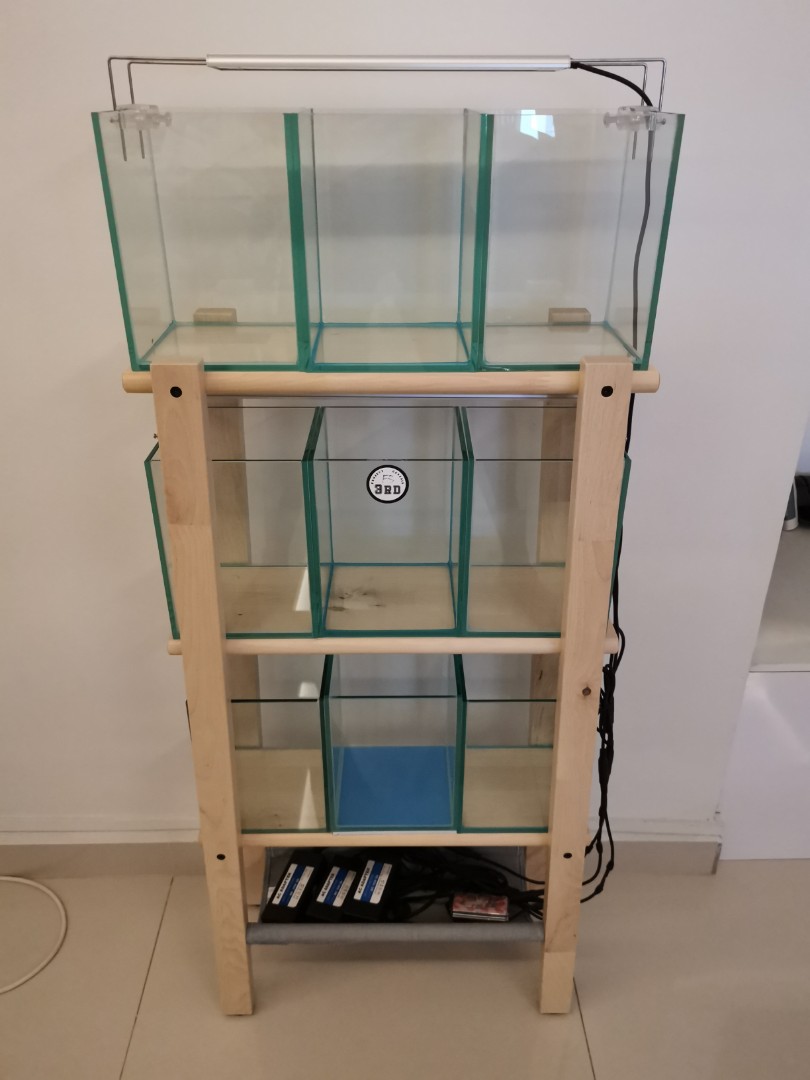 Betta Rack and Tanks, Pet Supplies, Homes & Other Pet Accessories on ...