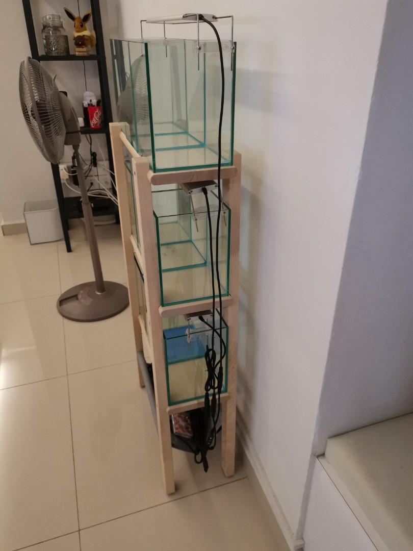 Betta Rack and Tanks, Pet Supplies, Homes & Other Pet Accessories on ...