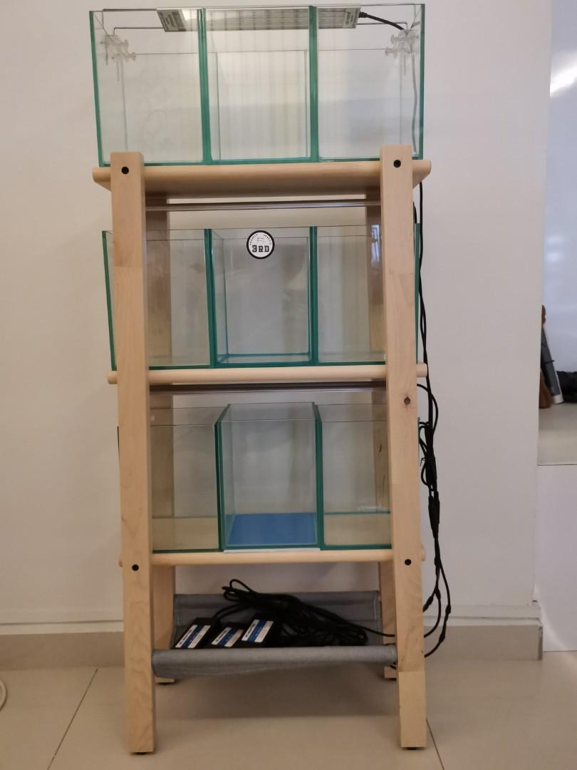 Betta Rack and Tanks, Pet Supplies, Homes & Other Pet Accessories on ...
