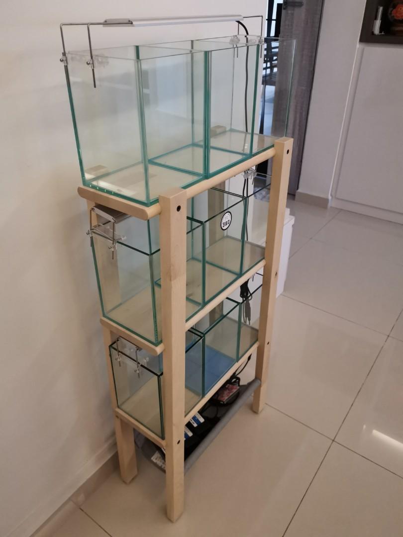 Betta Rack and Tanks, Pet Supplies, Homes & Other Pet Accessories on ...