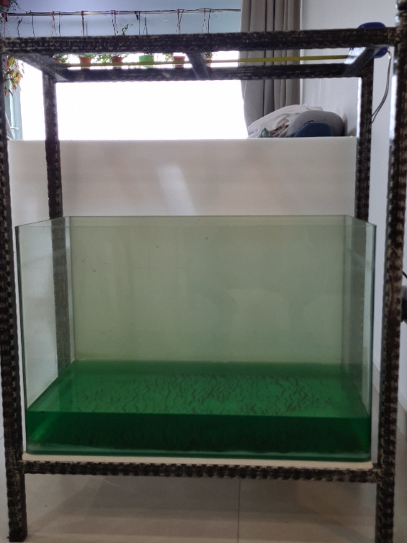 Fish Tank Stand for 2ft fish tank, Pet Supplies, Homes & Other Pet ...