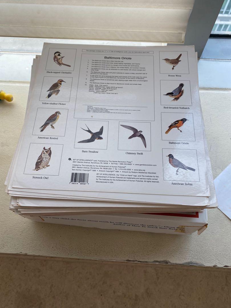 Glenn Doman maths flash card (1-10 missing)+ general knowledge flash ...