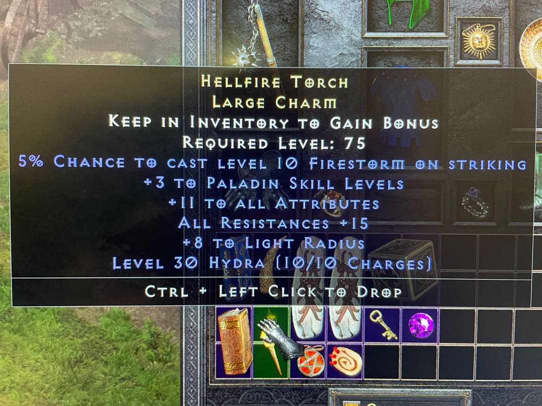Paladin Hellfire Torch, Video Gaming, Gaming Accessories, In-Game ...