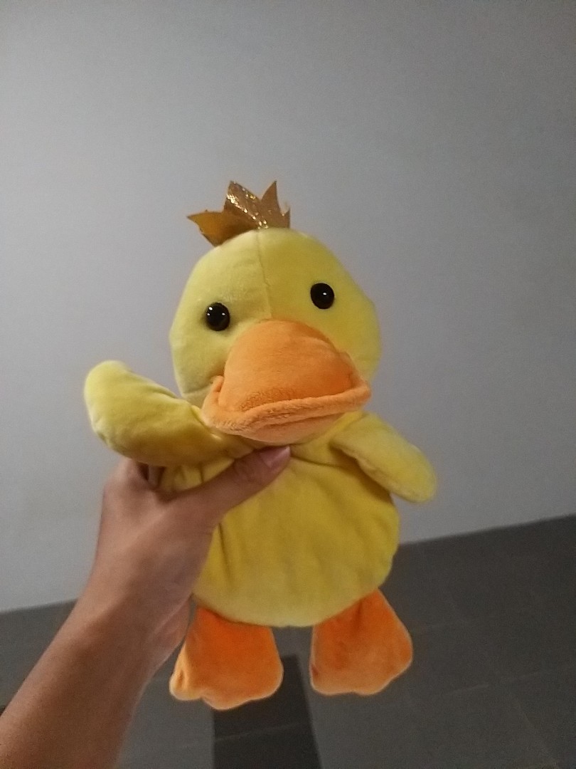 Princess Ducky, Hobbies & Toys, Toys & Games on Carousell