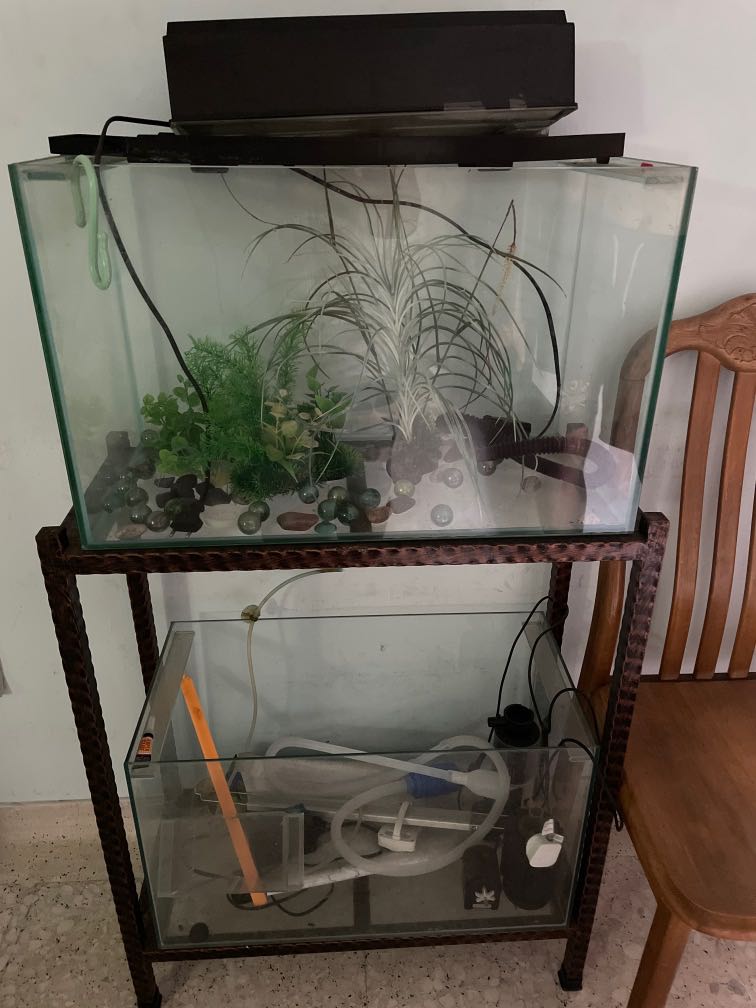 Used double fish tank for sale, Pet Supplies, Homes & Other Pet ...